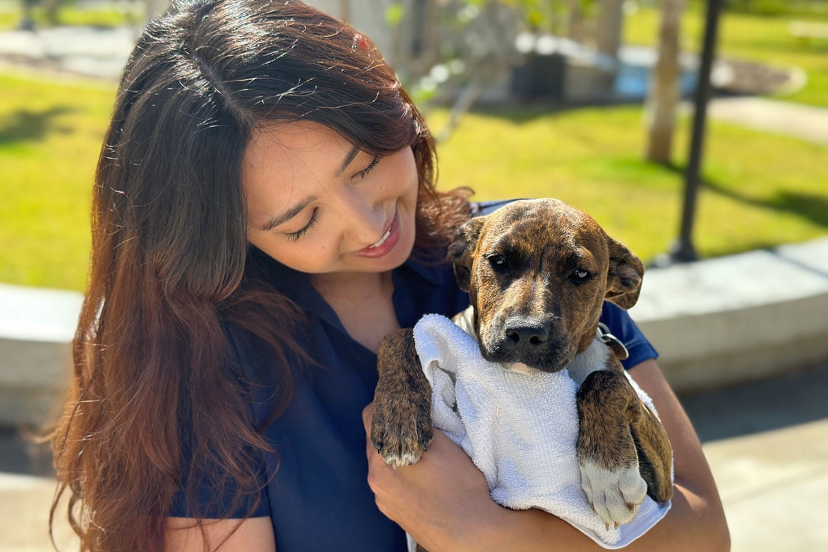 2024 Give Big Hawai‘i: Hawaiian Humane Society