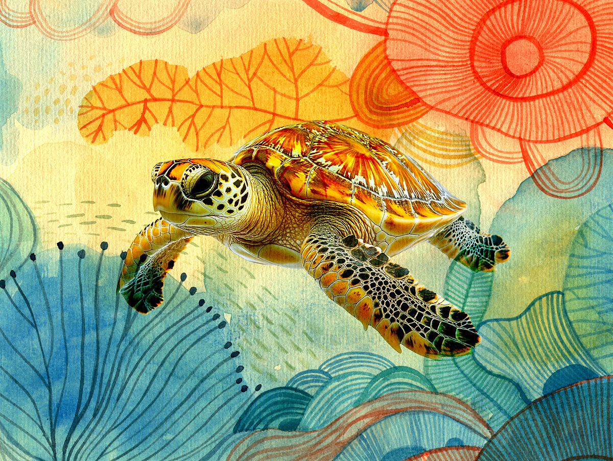 Hawai‘i Marine Animal Response Opens a New Care Center to Help Our Honu