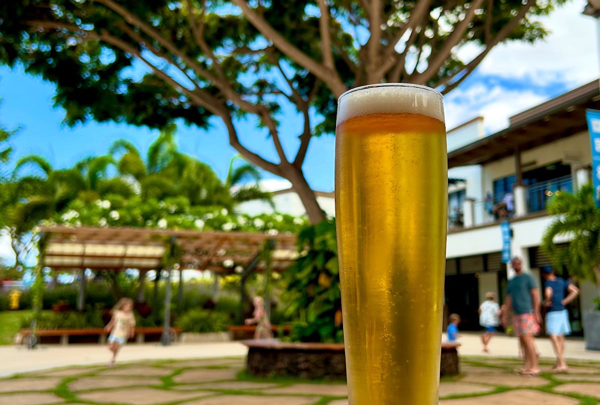 The Year in Beer: Who Opened and Closed and Best Beers of 2024