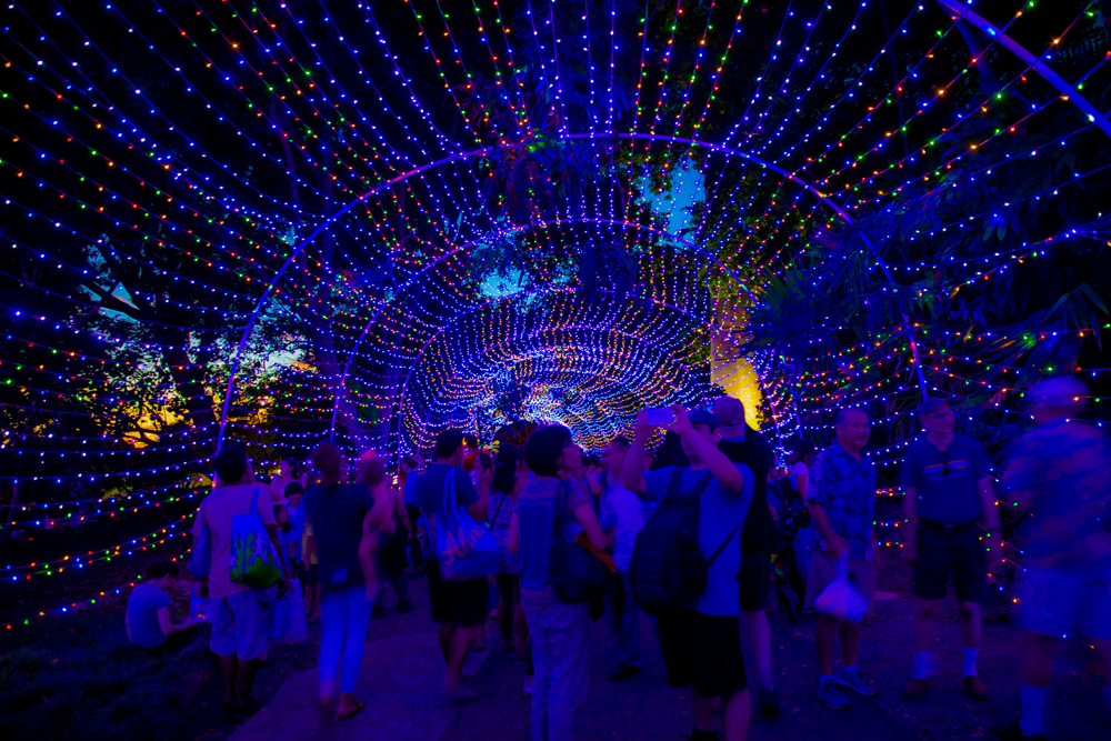 Your Insider Guide to Midsummer Night’s Gleam