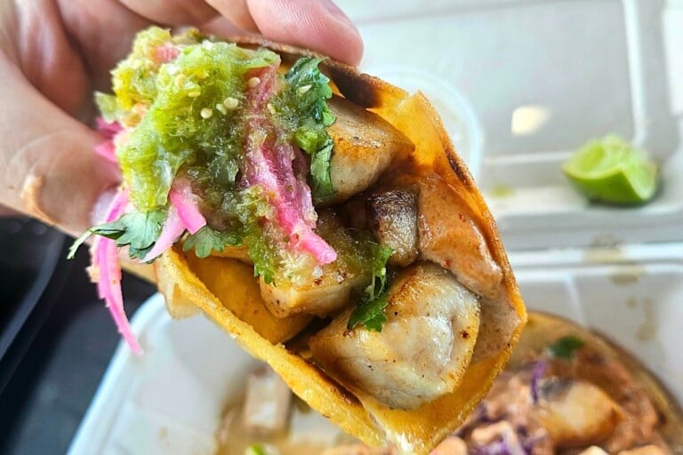 Frolic Hawai‘i - Honolulu Magazine