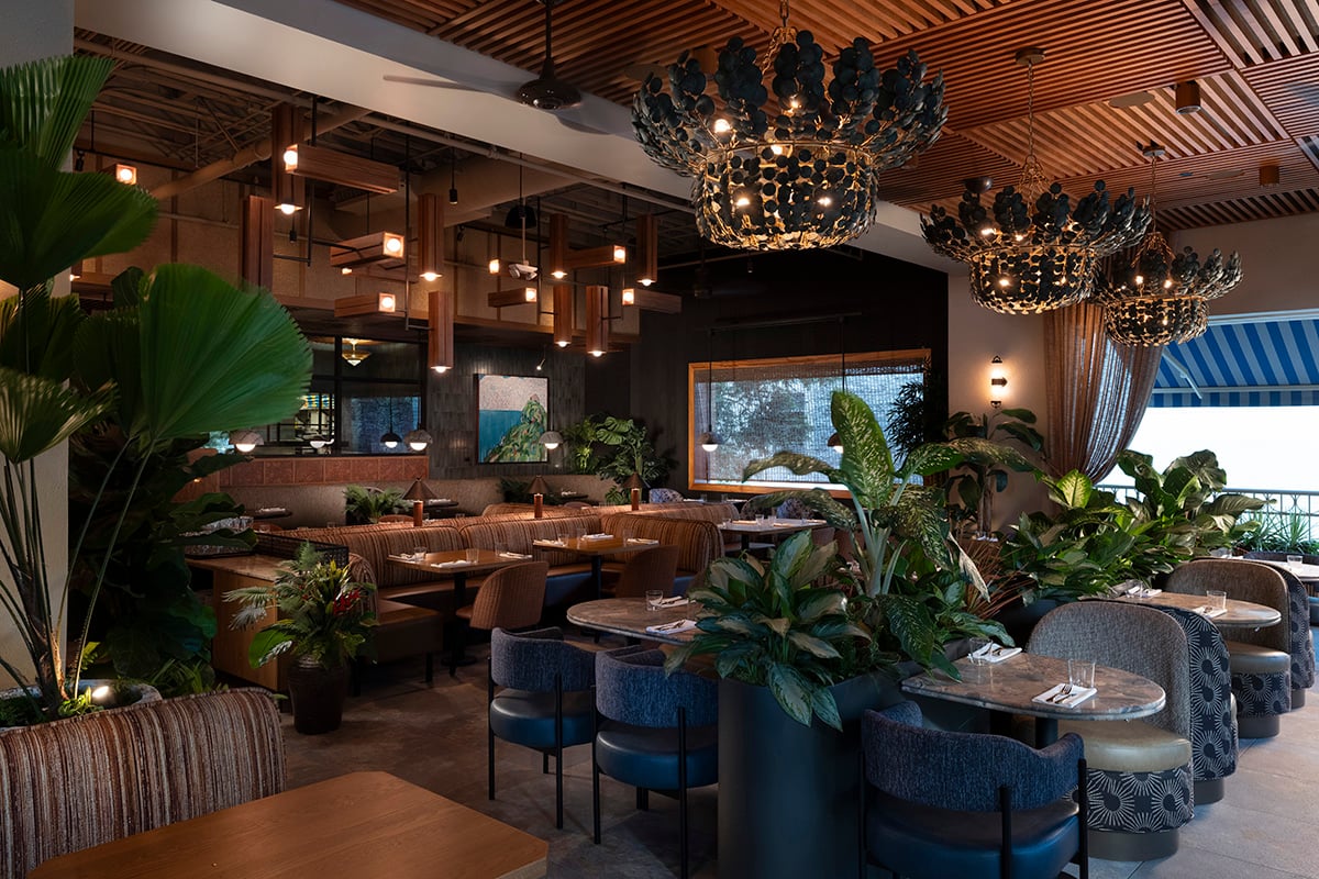 New & Coming Restaurants and Shops in Waikīkī