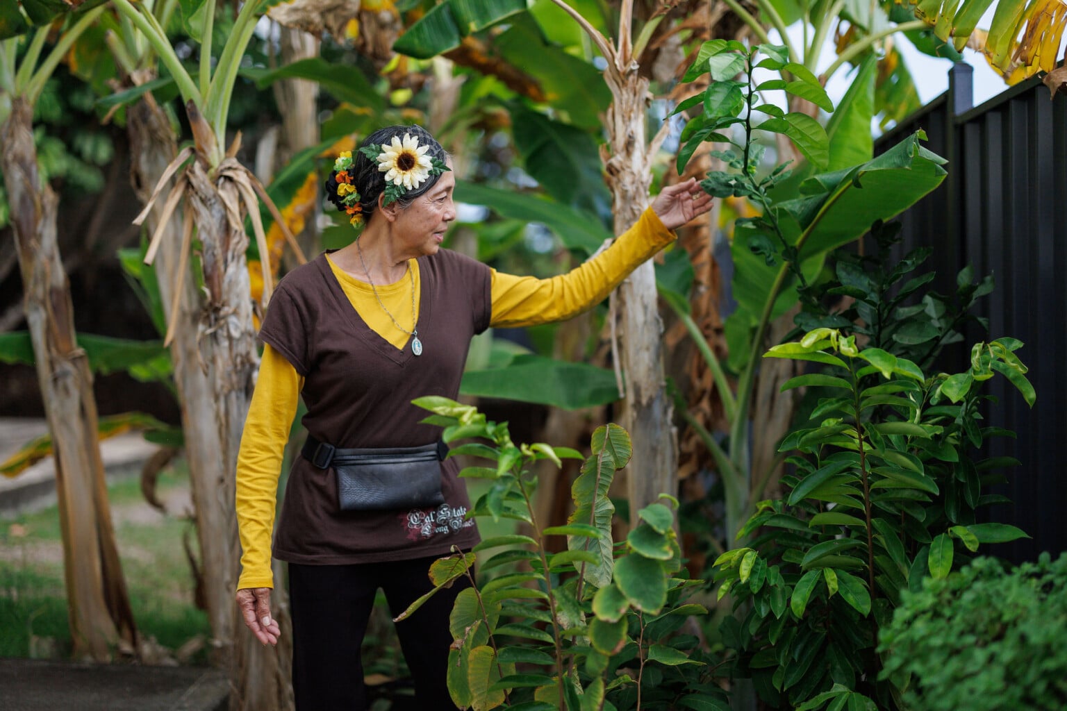 Hawaiian History - Honolulu Magazine