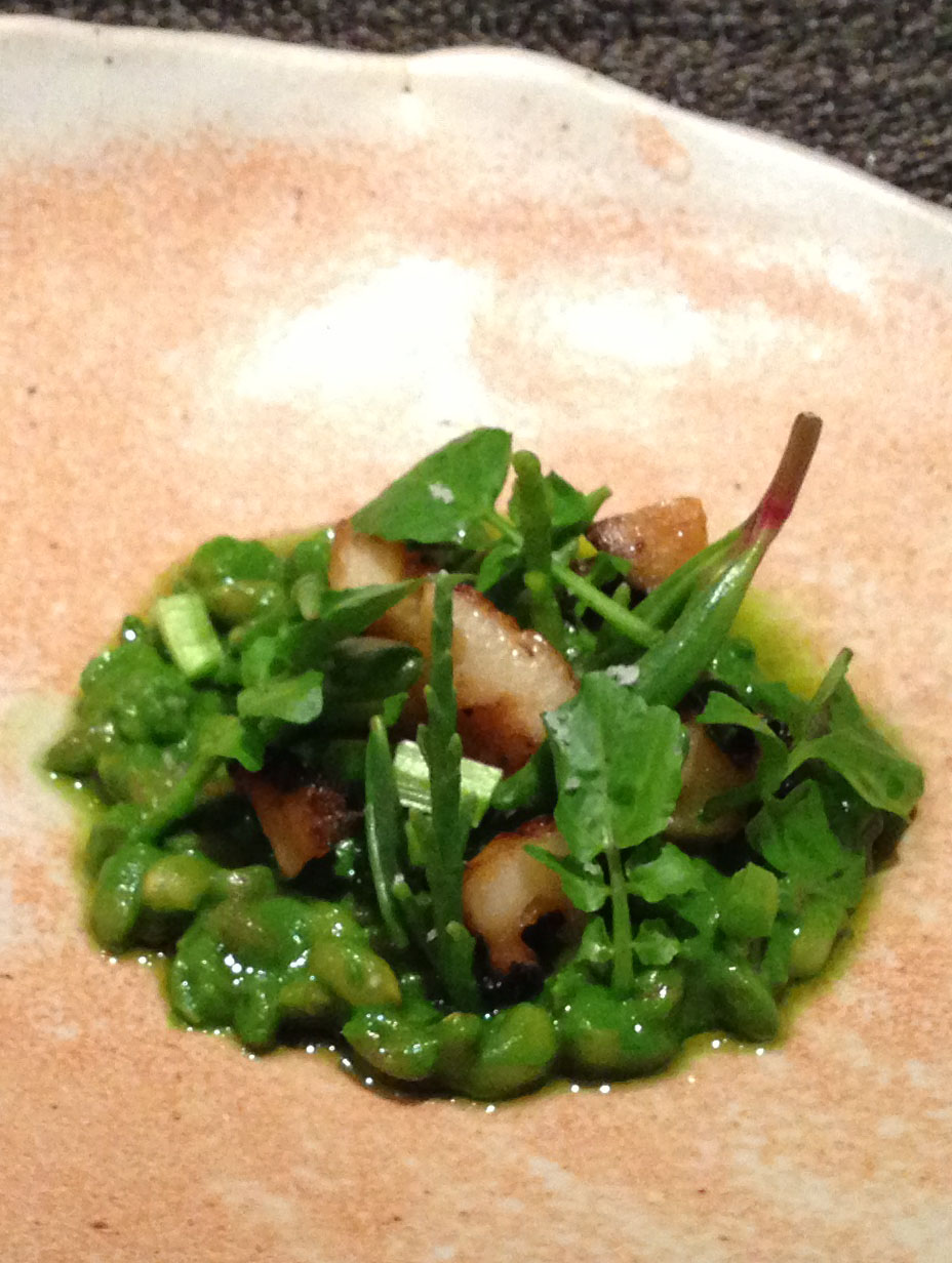 Sea beans: Brighten your salads with this free beachfront plant