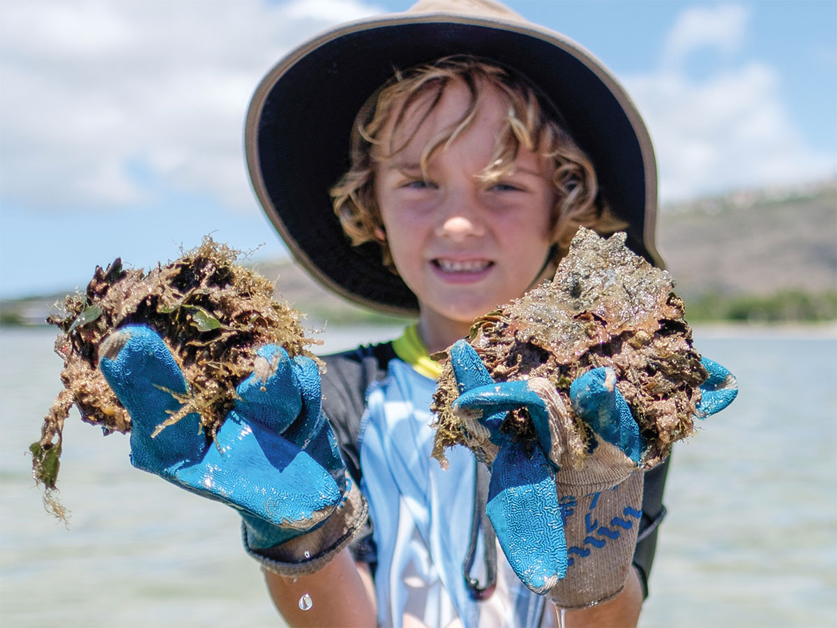 Field Notes: Removing Invasive Algae With Mālama Maunalua