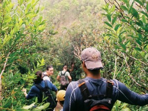 Michael Keany - Honolulu Magazine