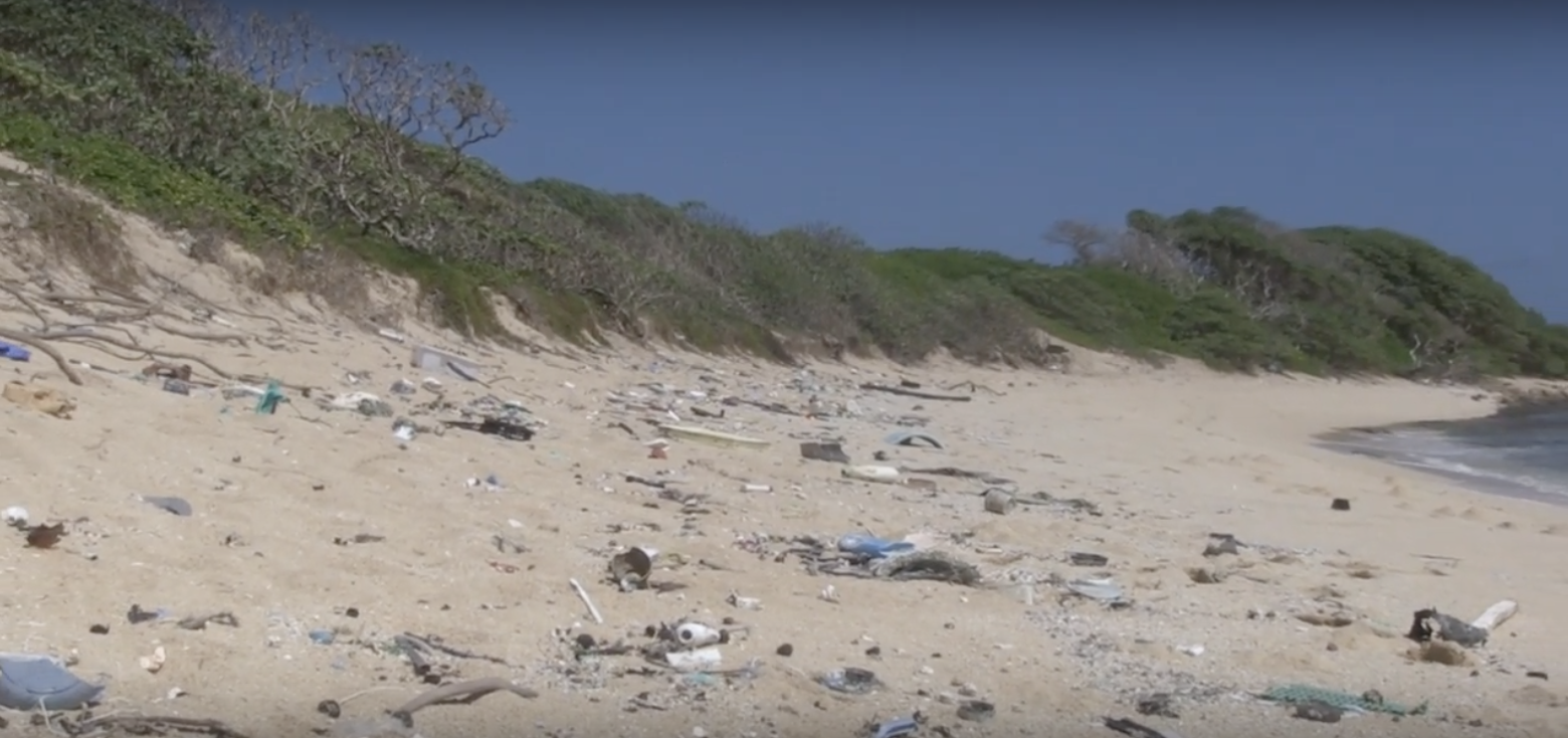 An Aerial Survey Shows Hawai‘i’s Beaches Are Littered With Marine Debris