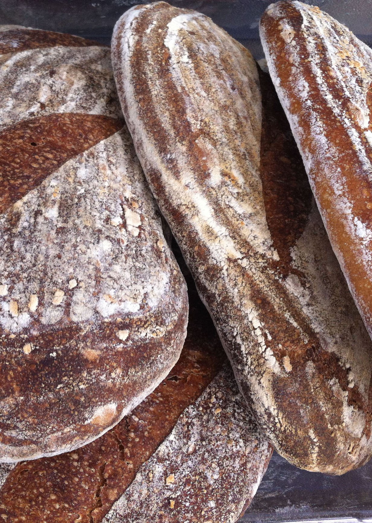 The best country bread you've never heard of: Chris Sy's levain