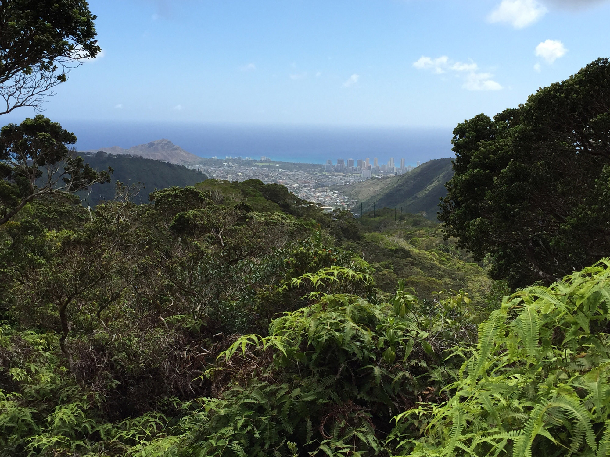 Did You Know that Pālolo was Once Home to an Airstrip?