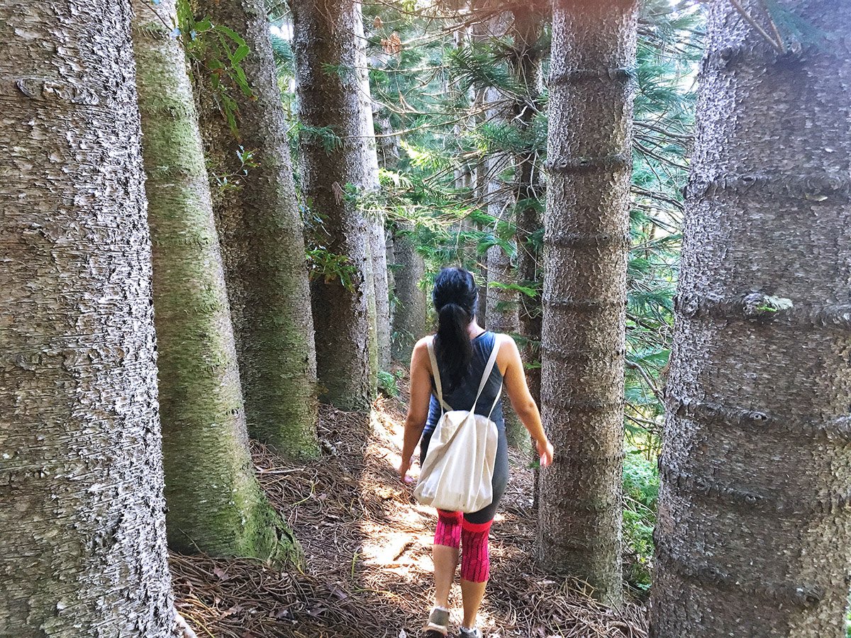 O‘ahu Hike of the Month: Judd Trail