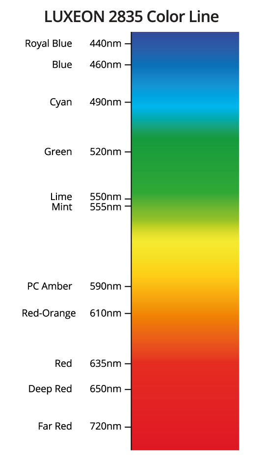 LED Color Line - HPB Magazine