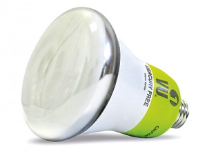 ESL Light Bulb - HPB Magazine
