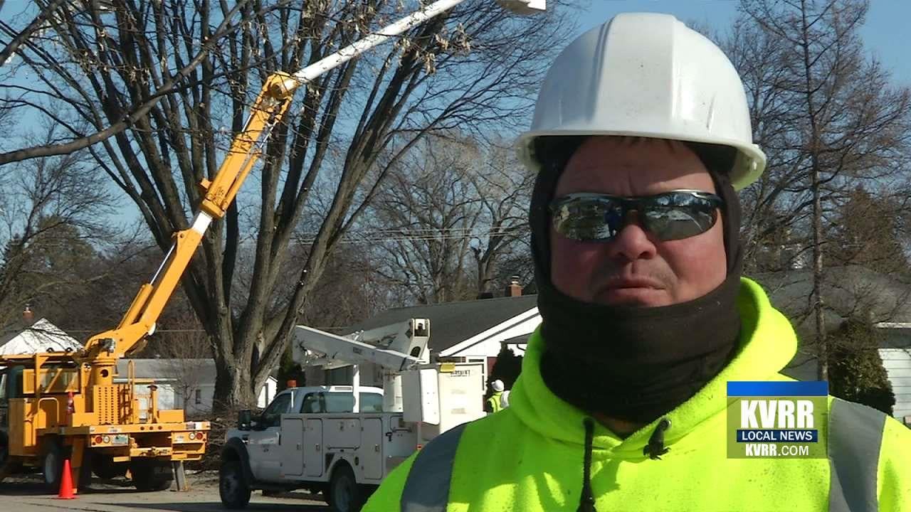 Tree Trimming Begins in the City of Fargo