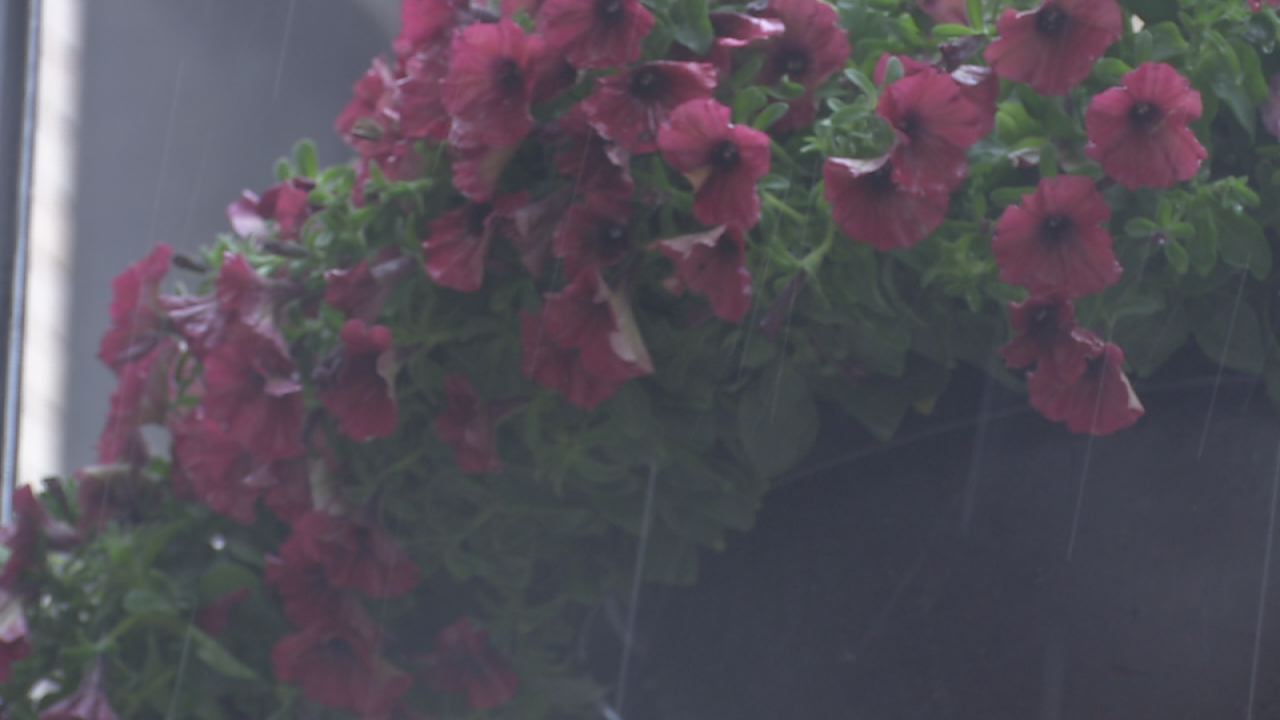 Downtown Fargo Brightens Up the Streets for Spring - KVRR Local News