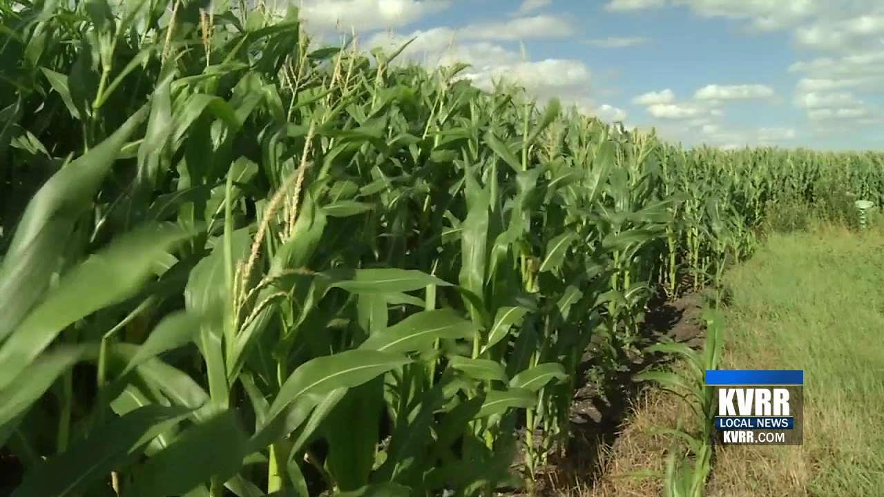 Hundreds of Farmers Attend Northern Corn and Soybean Expo