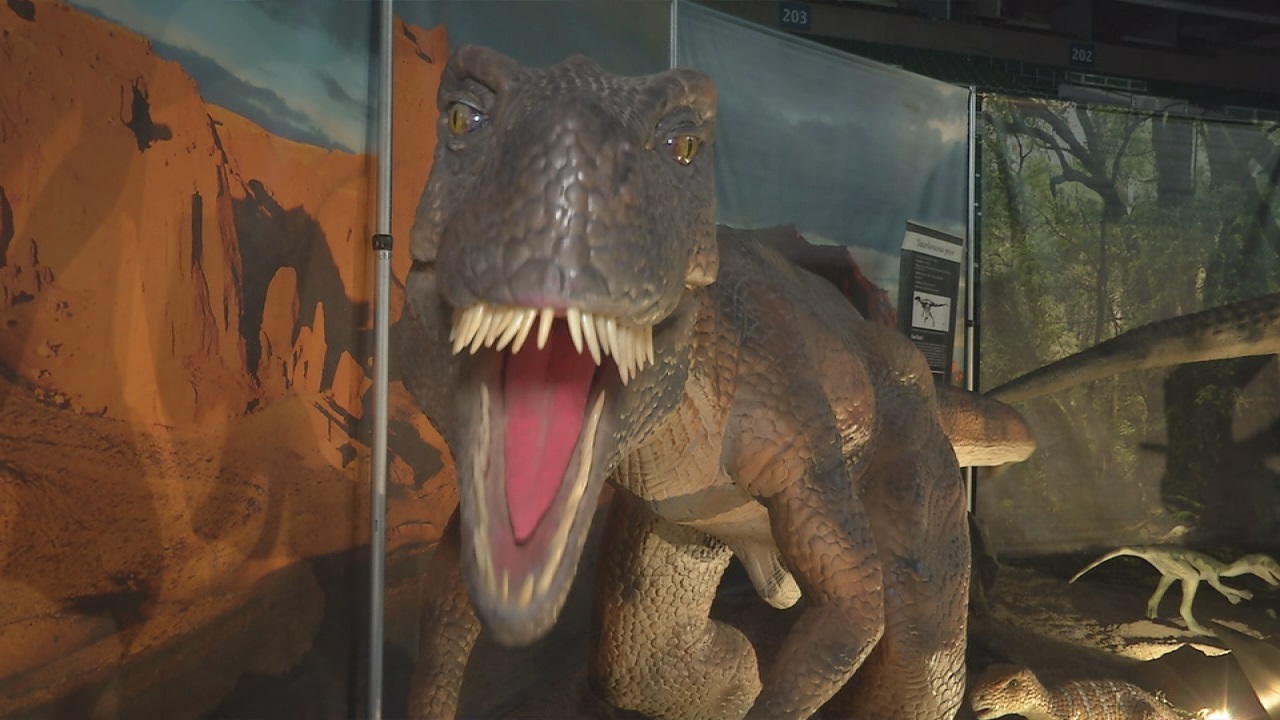Kids and Parents Go On "Jurassic Quest" For The Weekend - KVRR Local News
