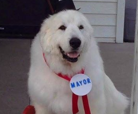 Duke Re-Elected As Mayor - KVRR Local News