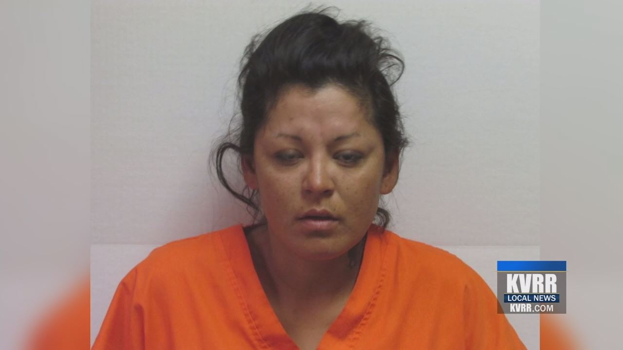 Pipeline Protestor Sentencing Scheduled for May - KVRR Local News