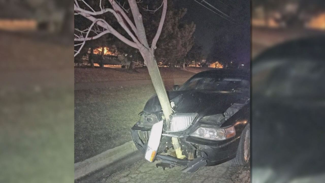 Lighting of the Fargo Christmas Tree - KVRR Local News