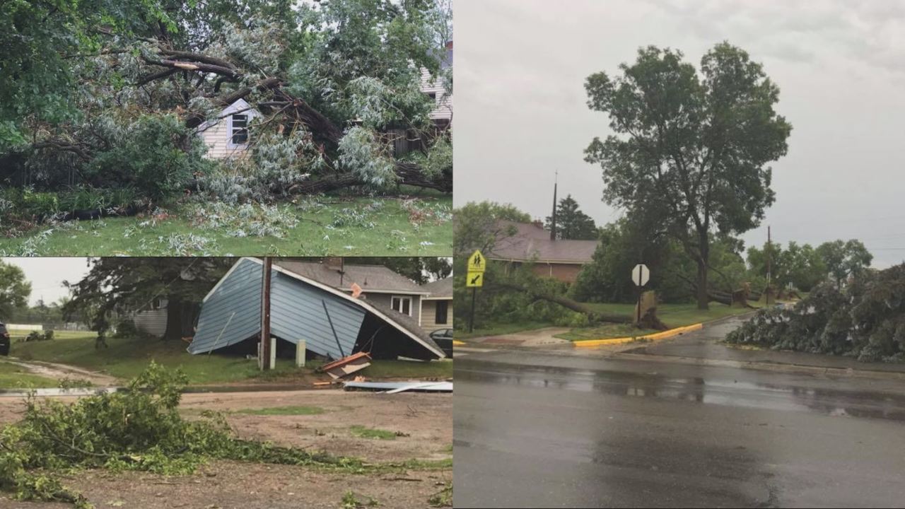 EF 1 Tornado Knocks Down Trees And Power Lines In Bemidji - KVRR Local News