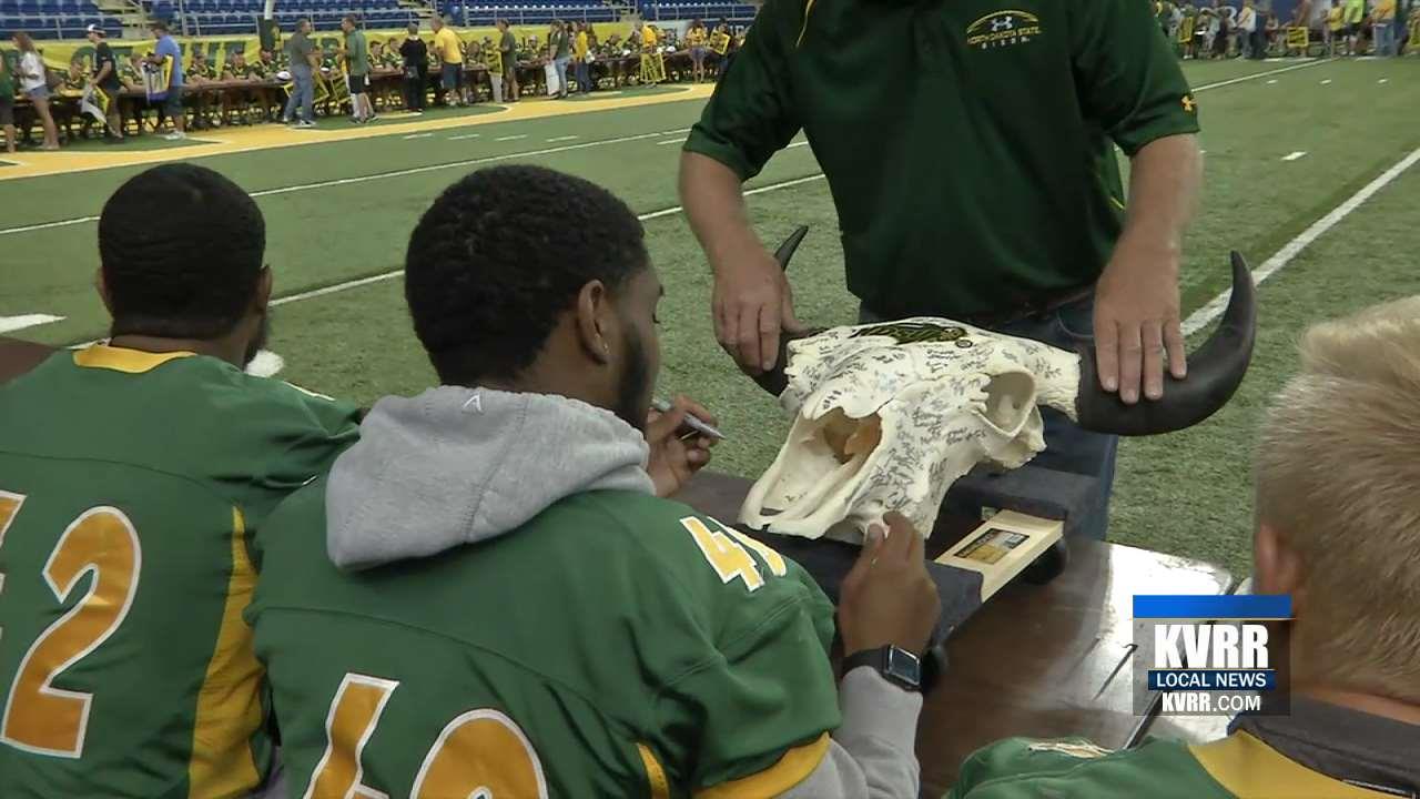Bison Fans Bring Unique Memorabilia To NDSU Fan Day - KVRR Local News