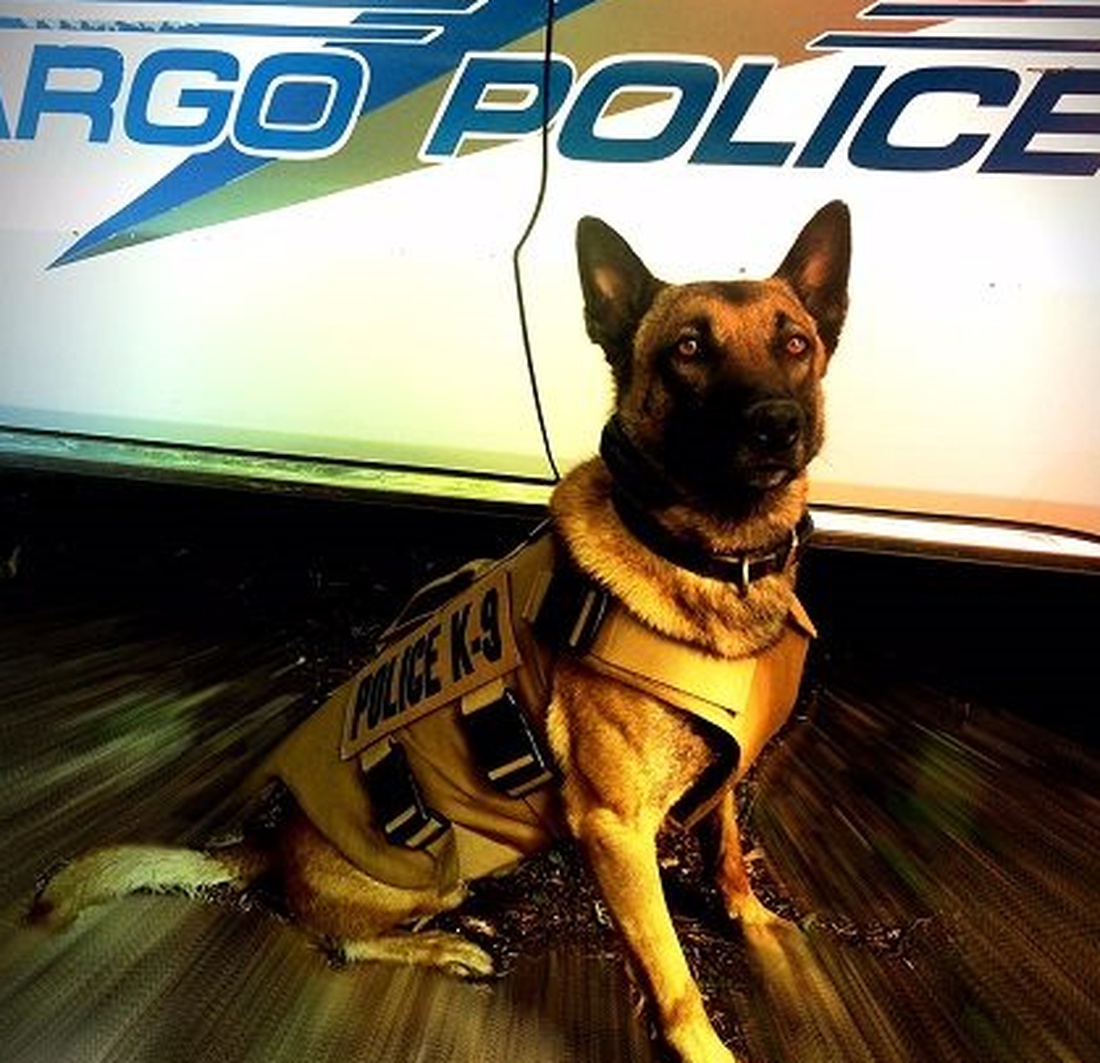 Fargo Police K9 Falco helps catch two suspects overnight - KVRR Local News
