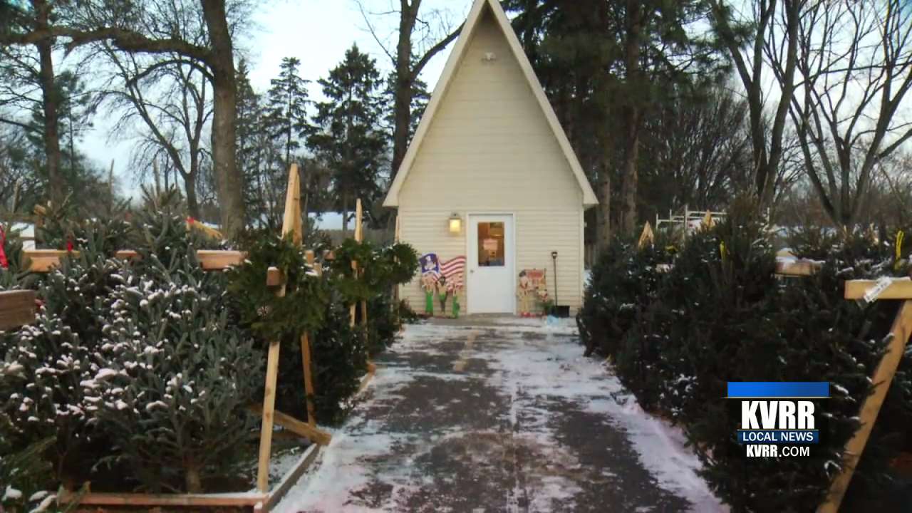 Local Boy Scouts Spread Holiday Spirit with Christmas Tree Sale - KVRR ...