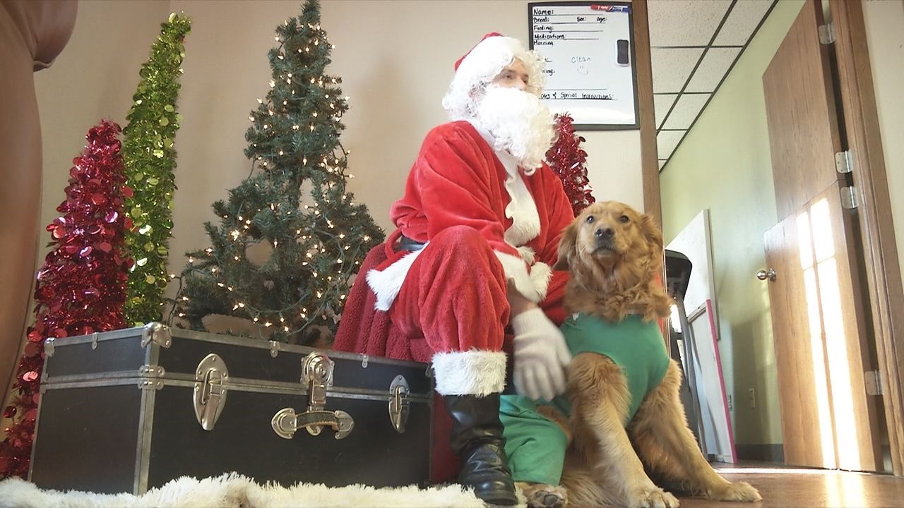 Rescued Pups Getting Cozy with Santa for a Holiday Photo - KVRR Local News