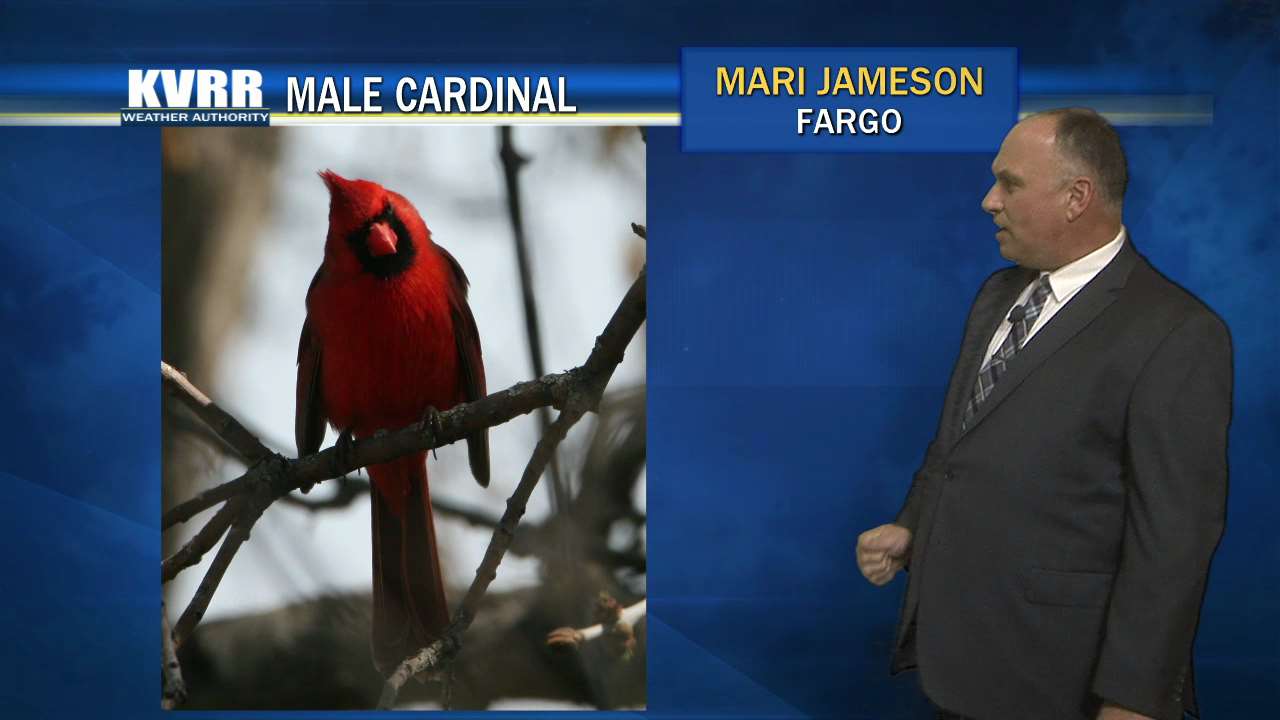 Photos 4-28-19 - KVRR Local News