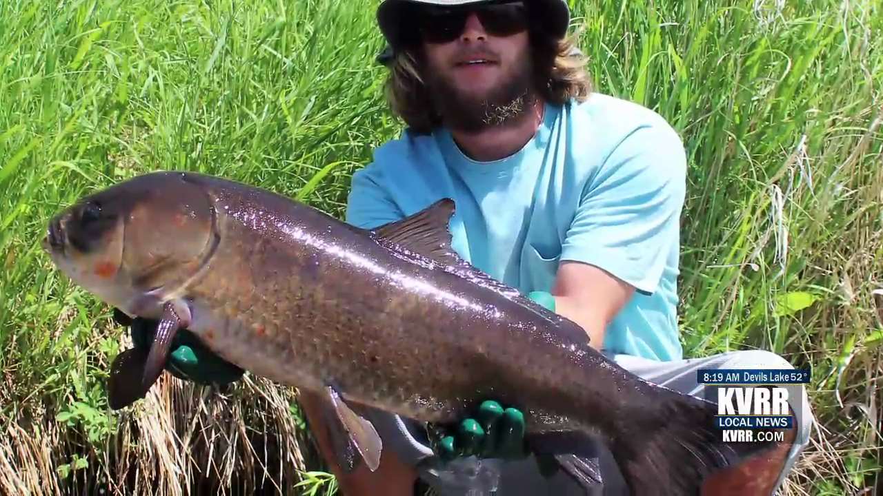 LIVE: Researcher Discovers Fish Species Live Really, Really Long Lives ...