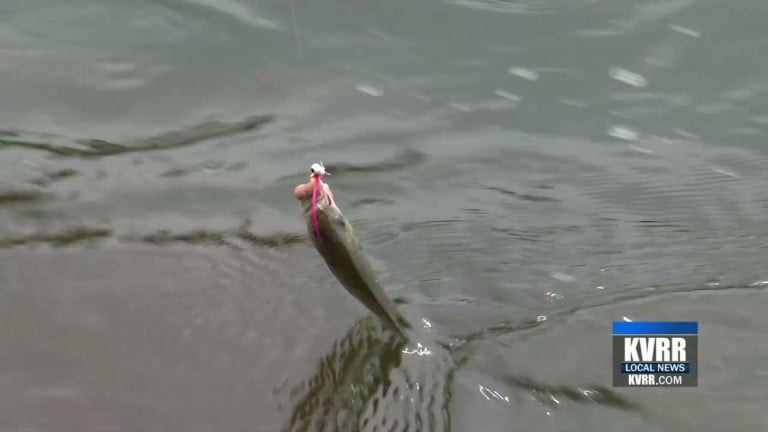 MN DNR's electronic licensing system for fishing and hunting to open ...