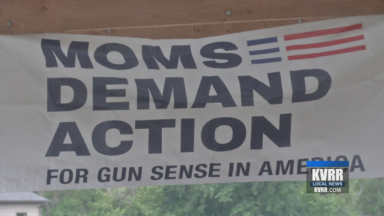 Local Group Rallying for Gun Sense in America - KVRR Local News