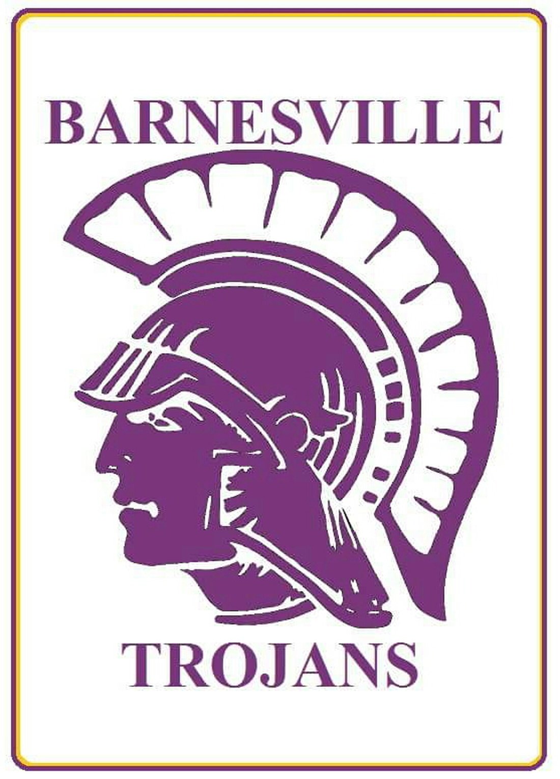 Voters Approve Three Bond Measures in Barnesville School District ...