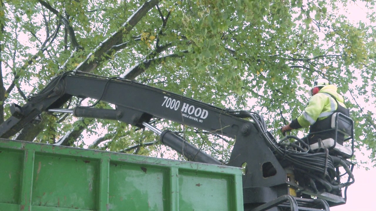 Snow Leaves Downed Trees and Branches in Fargo - KVRR Local News