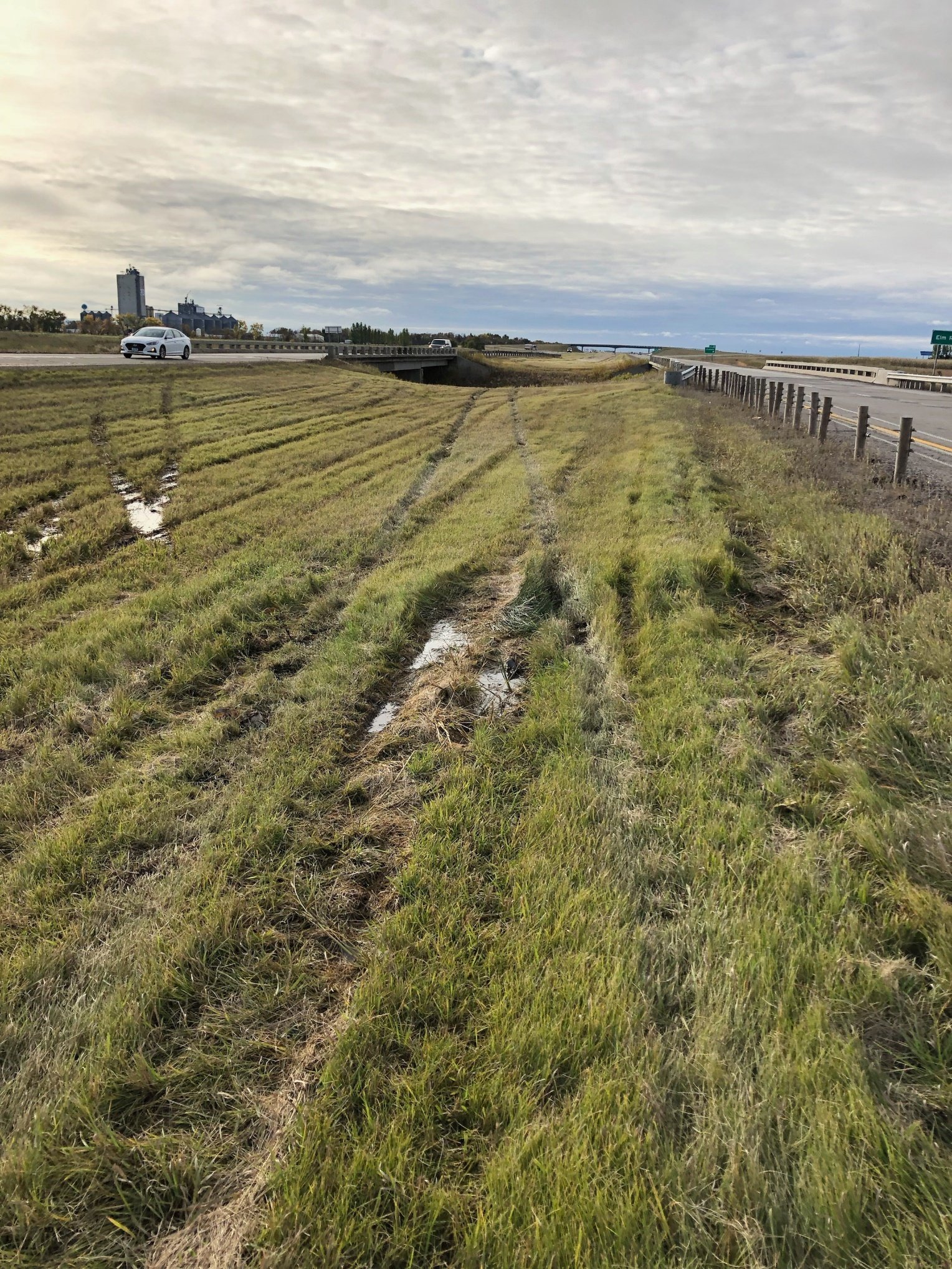 Fargo Man Rescued after Driving into Elm River - KVRR Local News