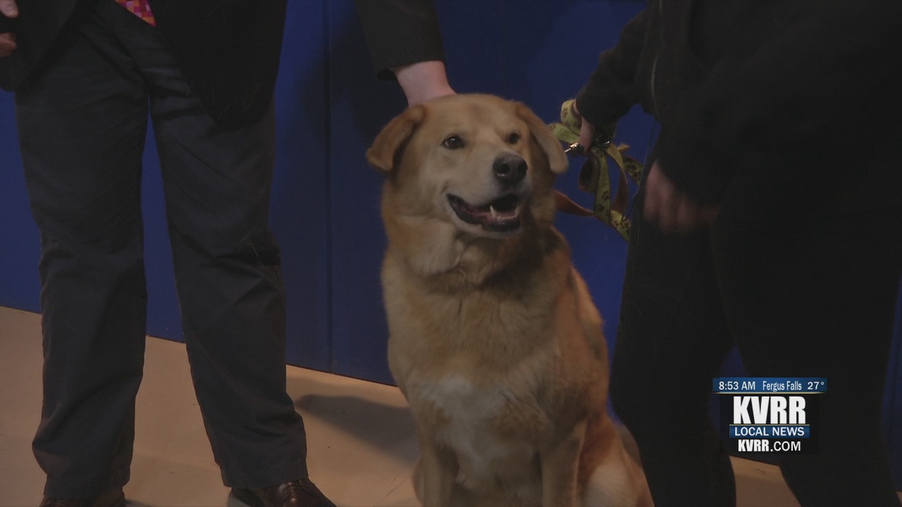 PET CONNECTION: Meet Pemberton - KVRR Local News