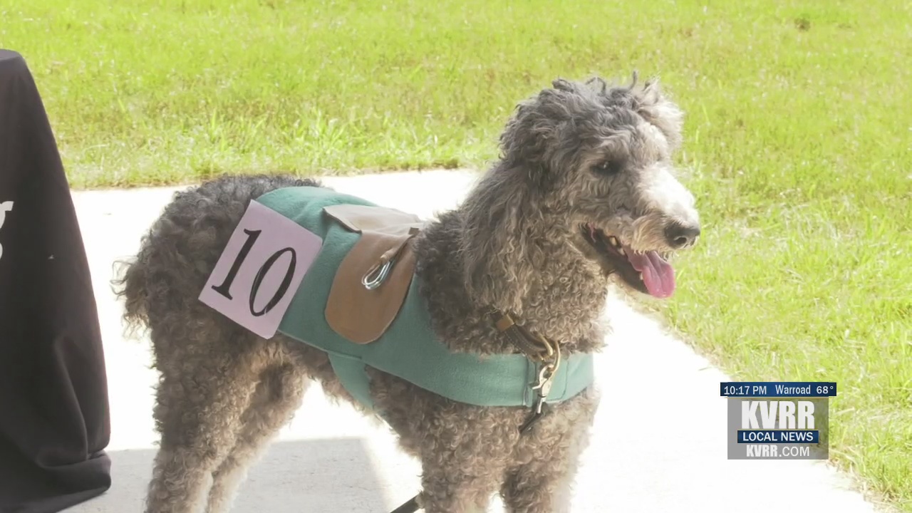 4 Luv of Dog Rescue Hosts 7th Annual Mutt March - KVRR Local News