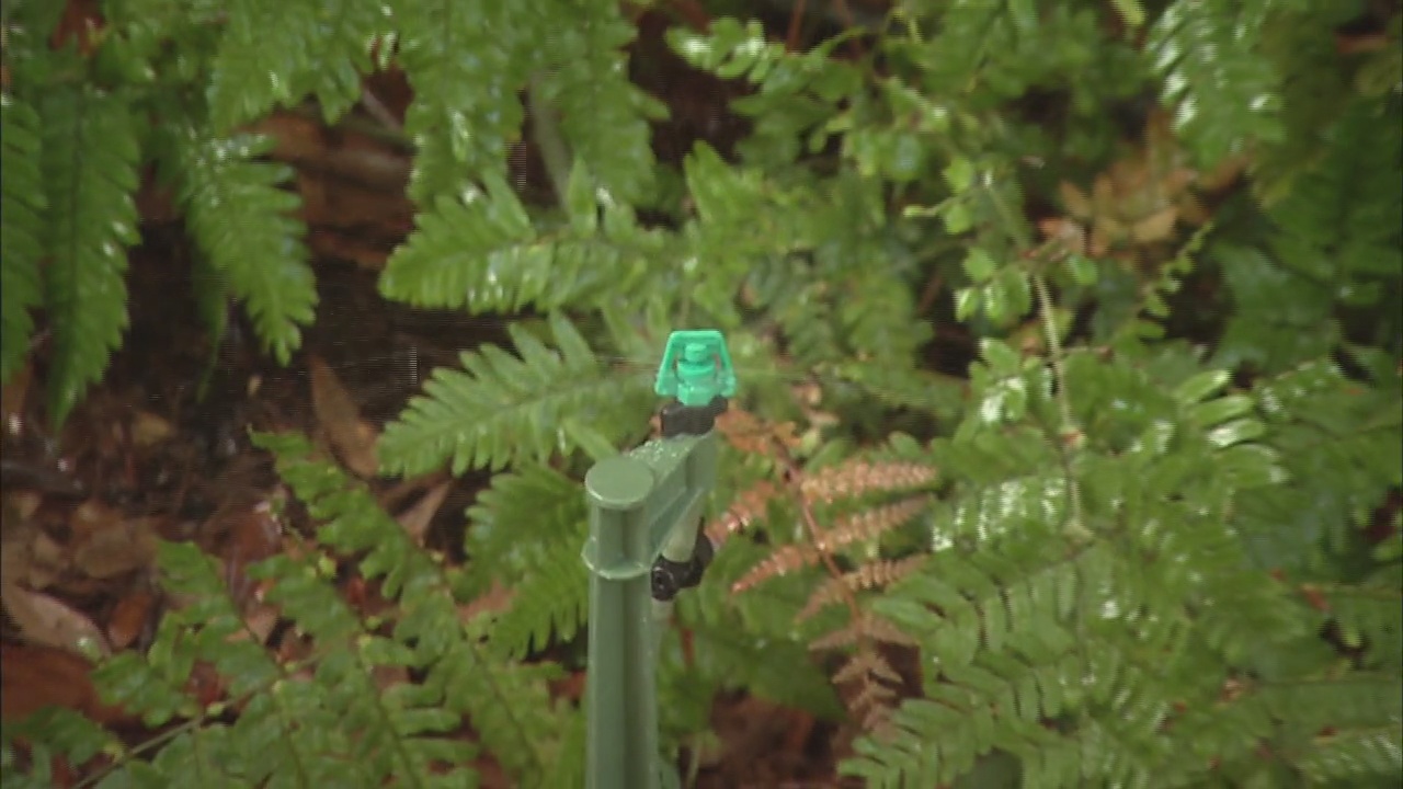 Thinking Green: Drip Irrigation - KVRR Local News
