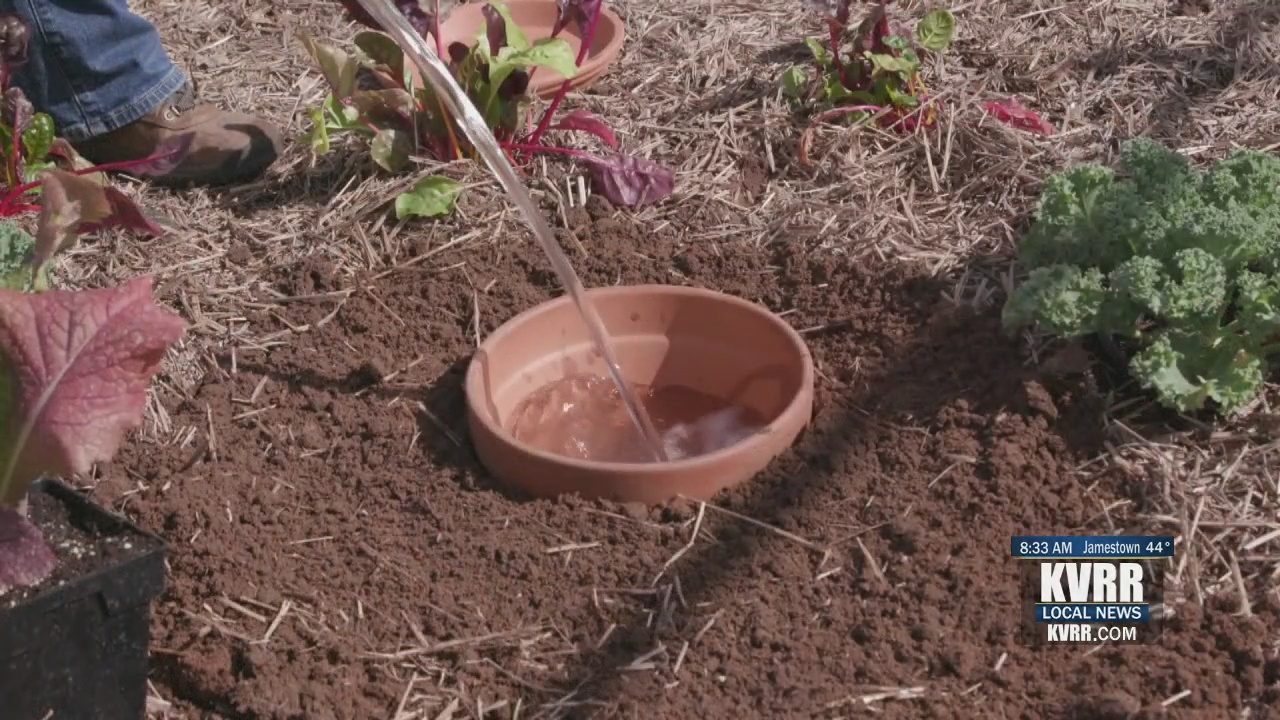 Melinda's Garden: Clay Irrigation - KVRR Local News