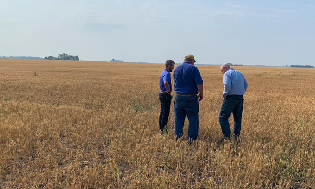 Governor And Ag Commissioner Stop By Polk County Farm to Survey Drought ...