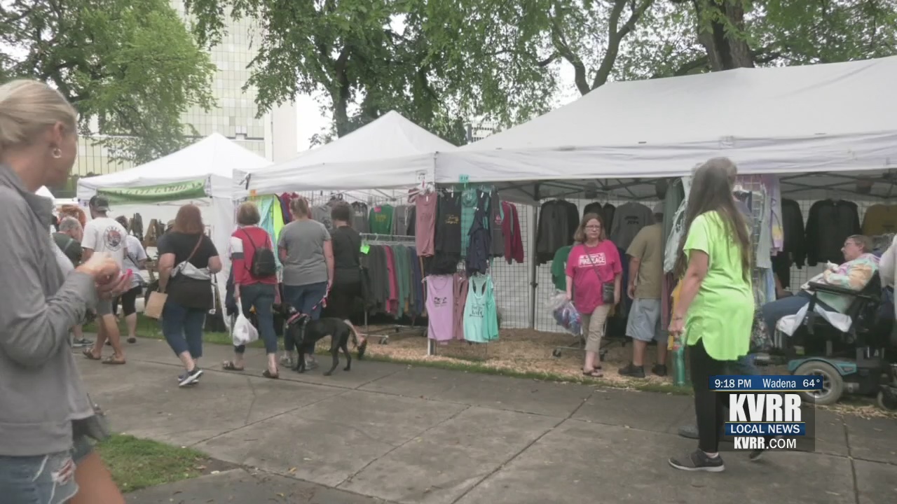 Fargo Park District hosts 43rd annual Island Park Show - KVRR Local News