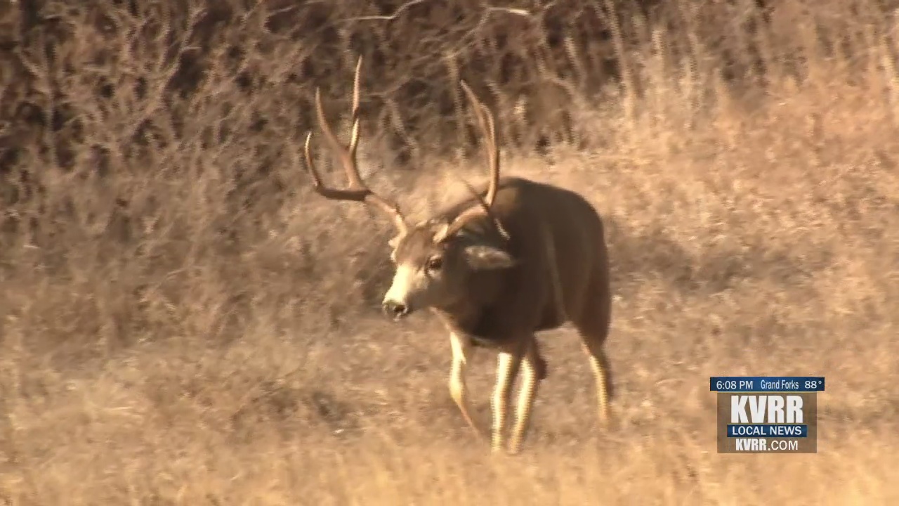 Organizations suggest safety improvements to Fargo's Wildlife ...