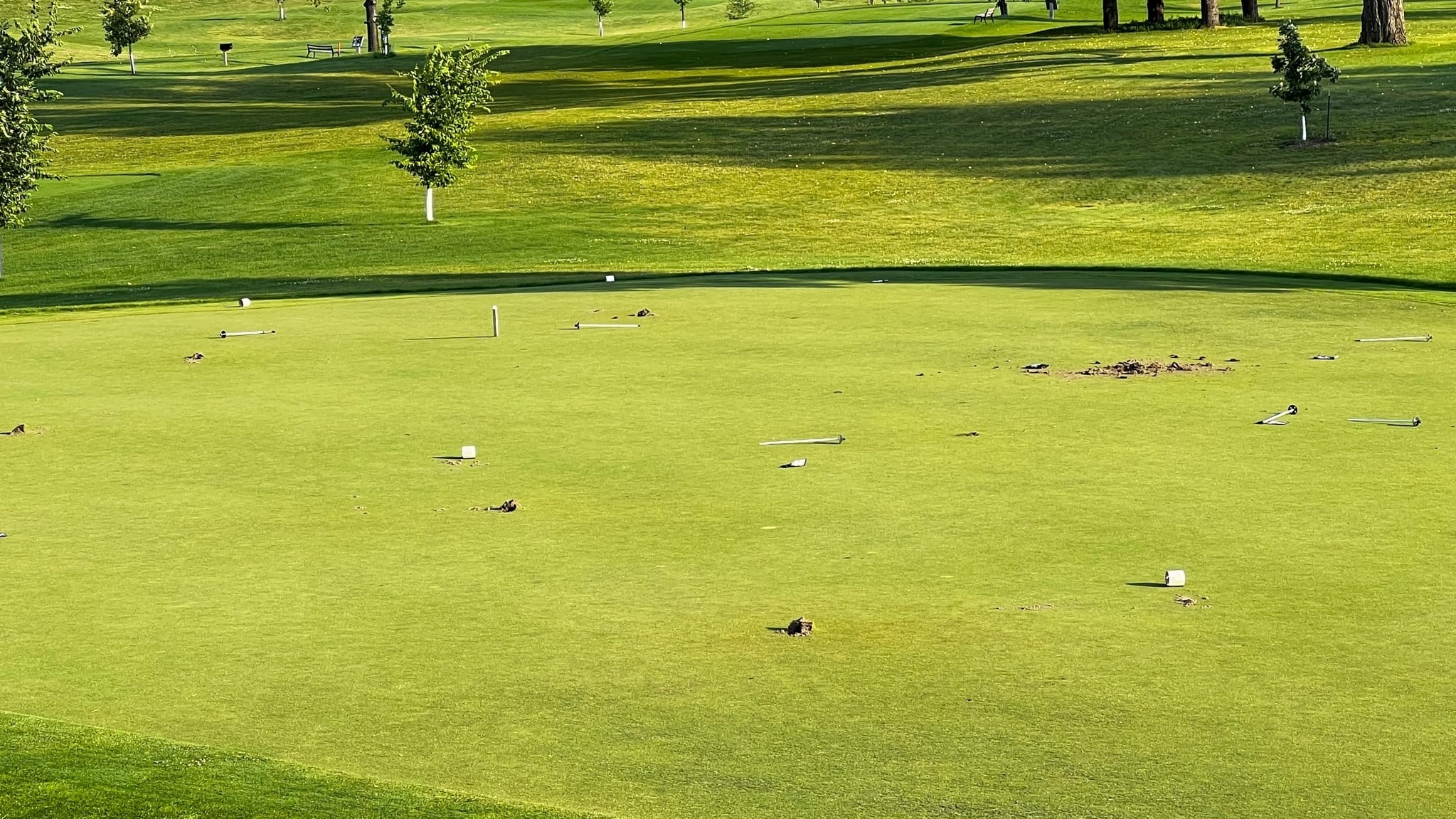 Vandals breaking flags, damaging greens at El Zagal Golf Course - KVRR ...