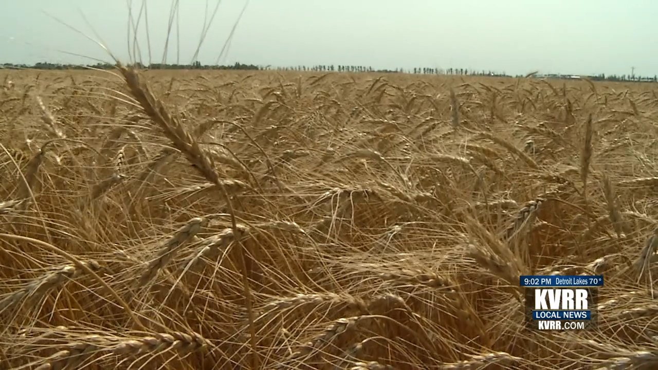 Grand Farm Initiative to enhance precision ag research - KVRR Local News