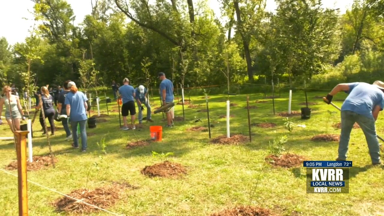 F-M community comes out to "Reforest the Red" - KVRR Local News