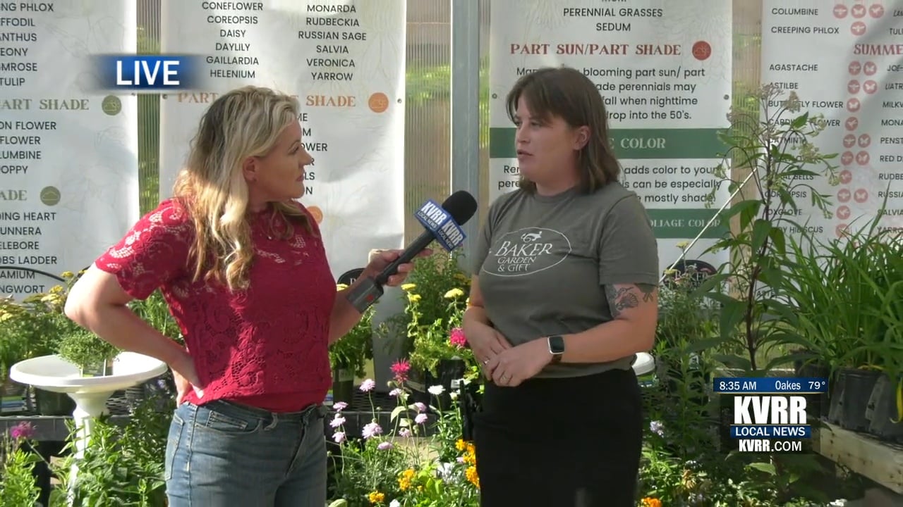 Don't Forget To Bee There: Pollinator Party at Baker Garden & Gift ...