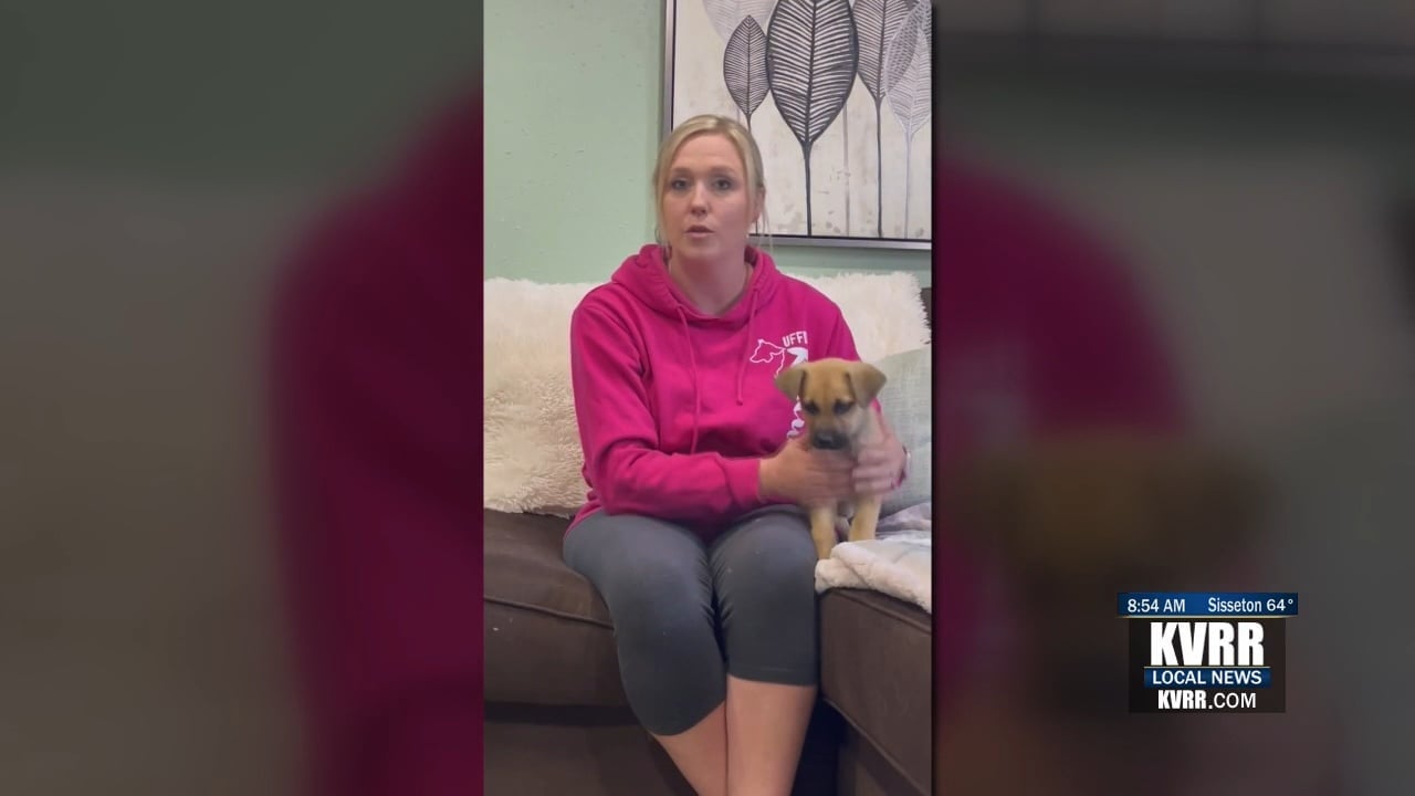 Pet Connection: Meet Dallas - KVRR Local News