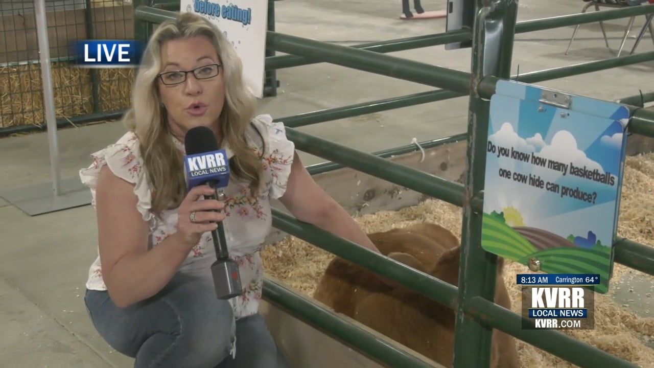 LIVE: Fast Rides, Furry 4H Friends, and Fairway Fun - KVRR Local News
