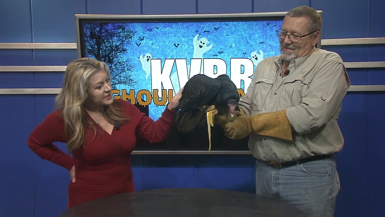 LIVE: A Ghoul Morning With A Strange Scavenger - KVRR Local News
