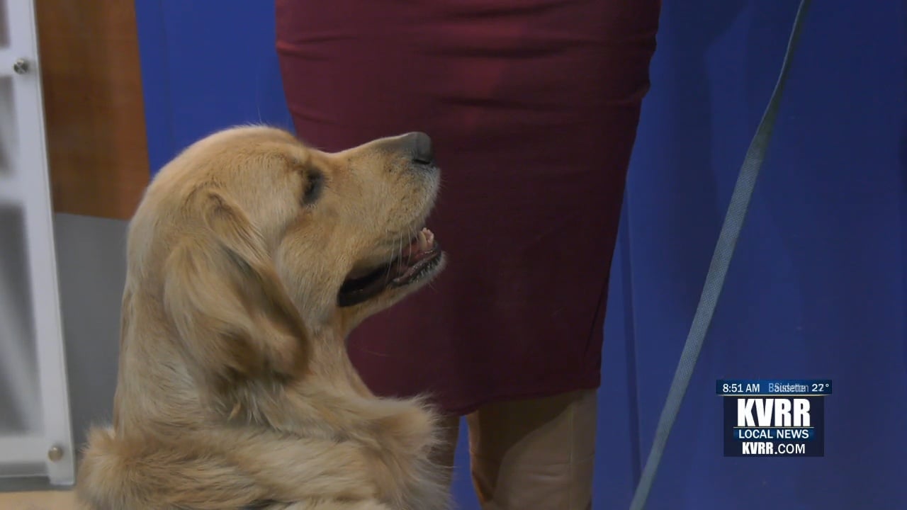 LIVE: A Golden Opportunity - KVRR Local News